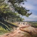 Sally Hamilton Artist Milford on Sea